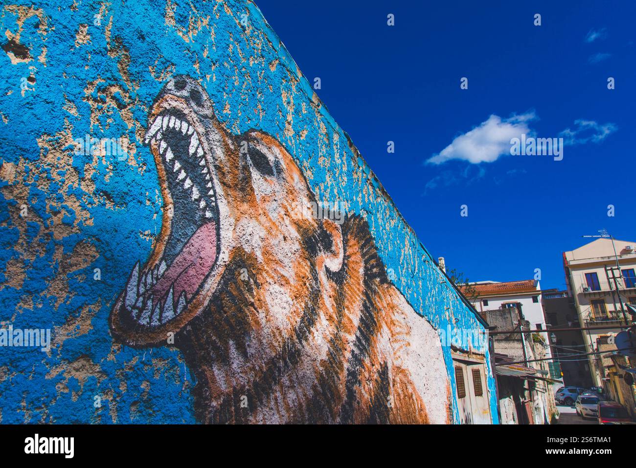 Italy, Sicily, Palermo. Street art in the city center Stock Photo - Alamy