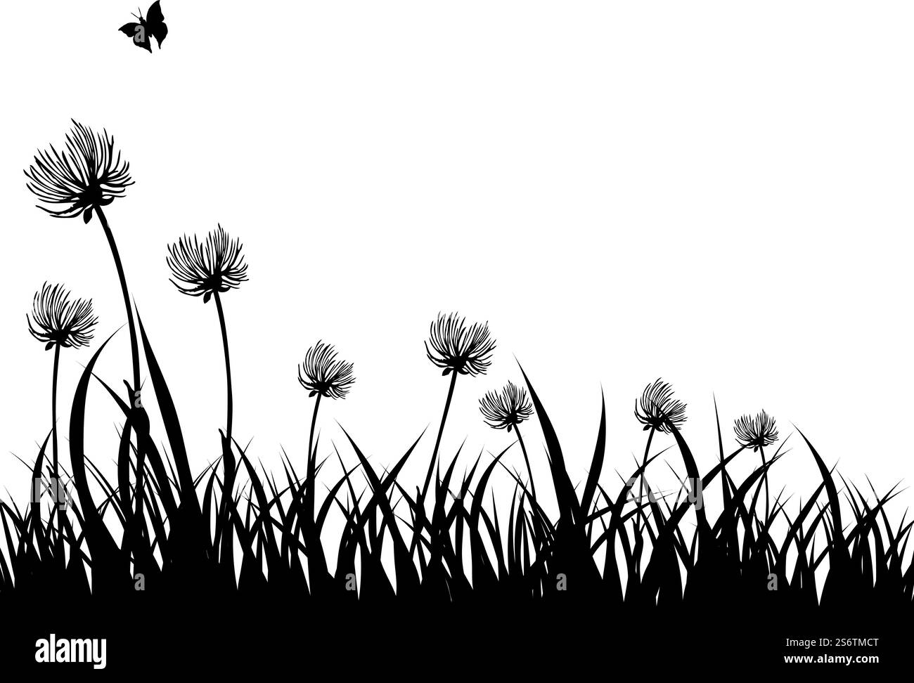 Spring meadow grass. Fresh plants, seasonal growth grass, separated ...