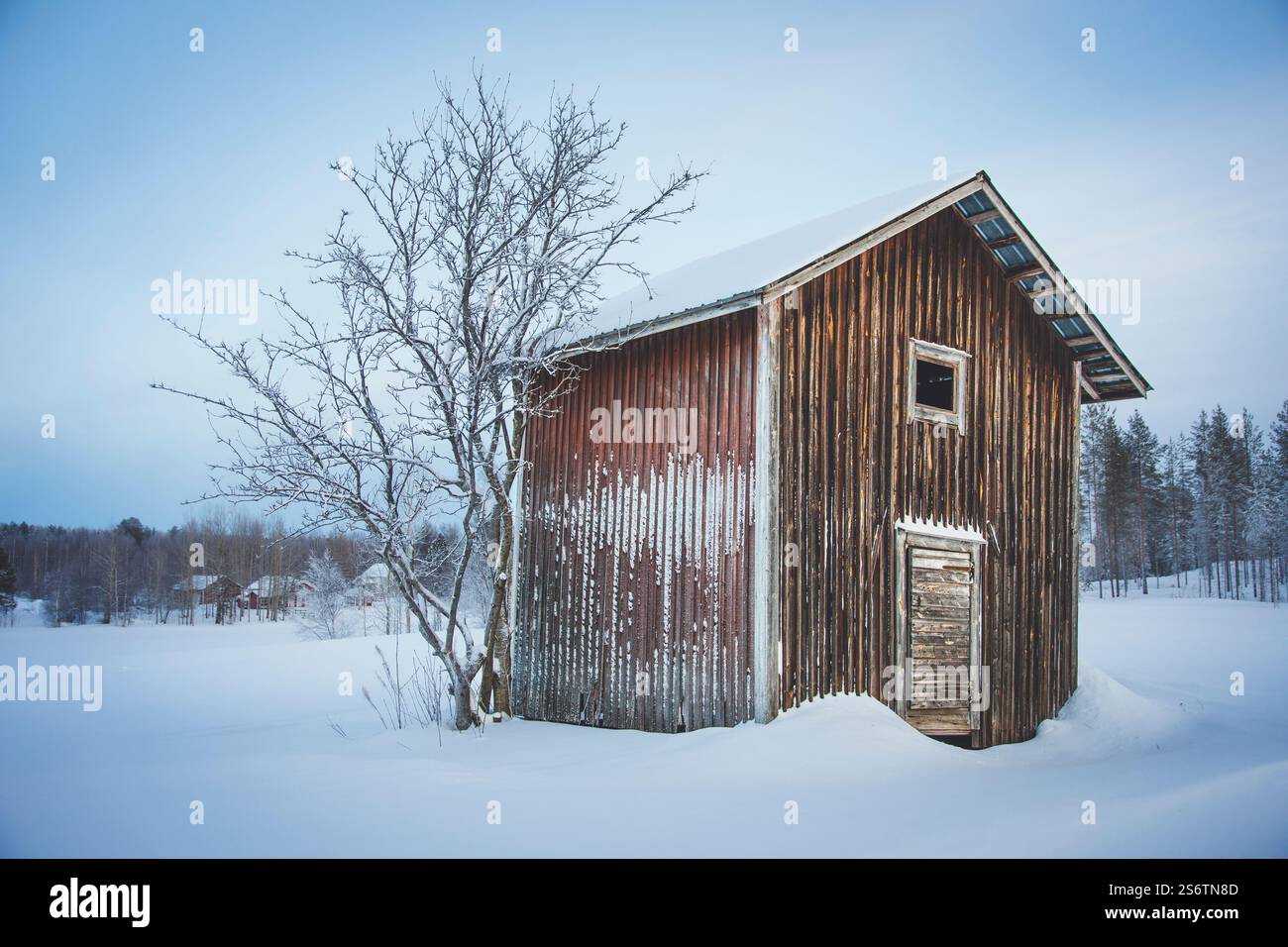 Scandinavia, Lapland, Finland. Rovaniemi. Agricultural hut in a field ...