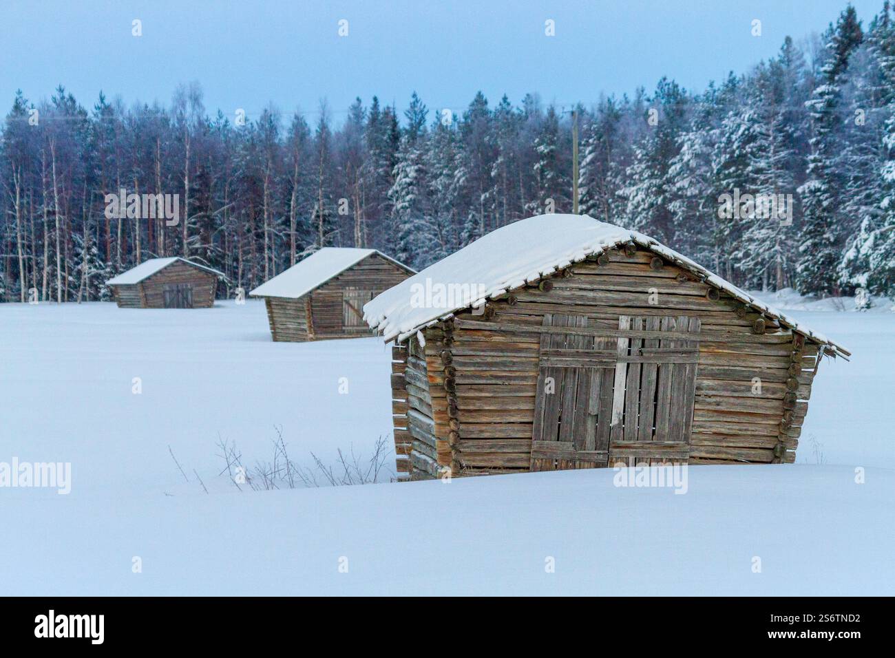 Scandinavia, Lapland, Finland. Rovaniemi. Agricultural hut in a field ...