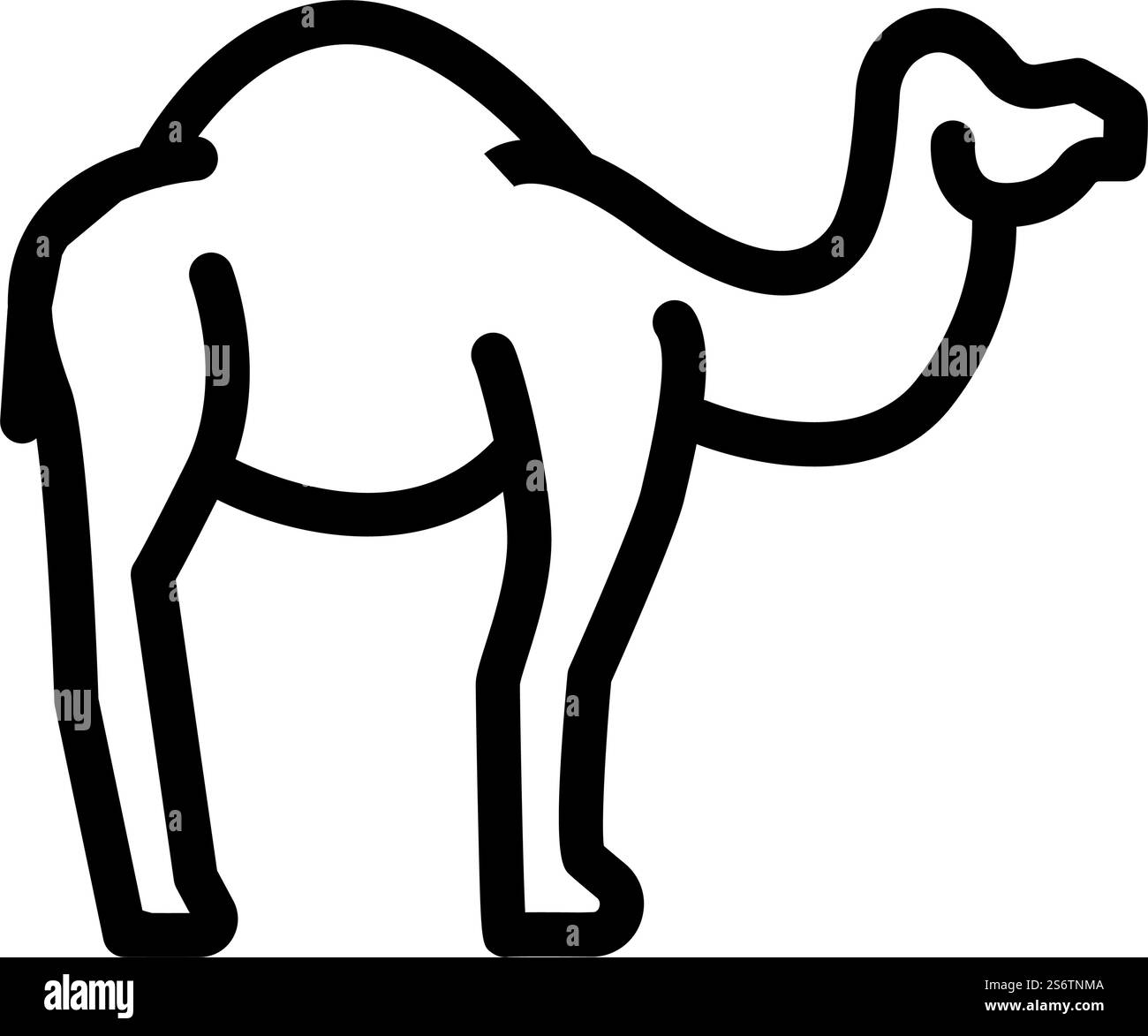camel animal line icon vector. camel animal sign. isolated contour ...
