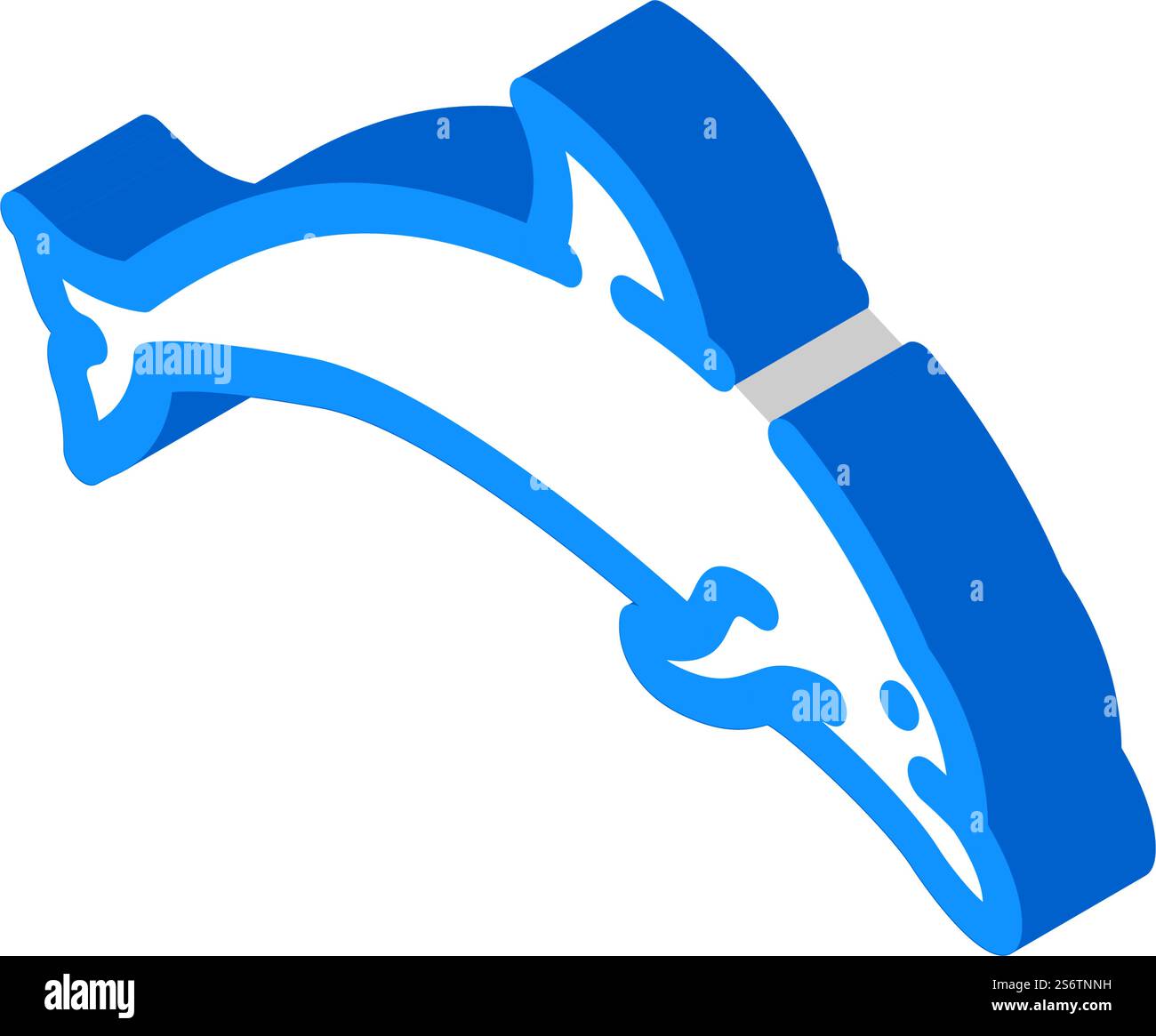 dolphin water mammal animal isometric icon vector. dolphin water mammal ...