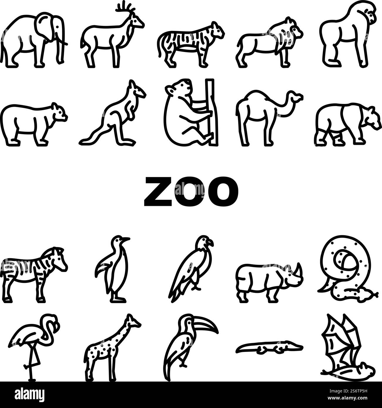 Zoo Animals, Birds And Snake Icons Set Vector. Tiger And Elephant, Bear ...