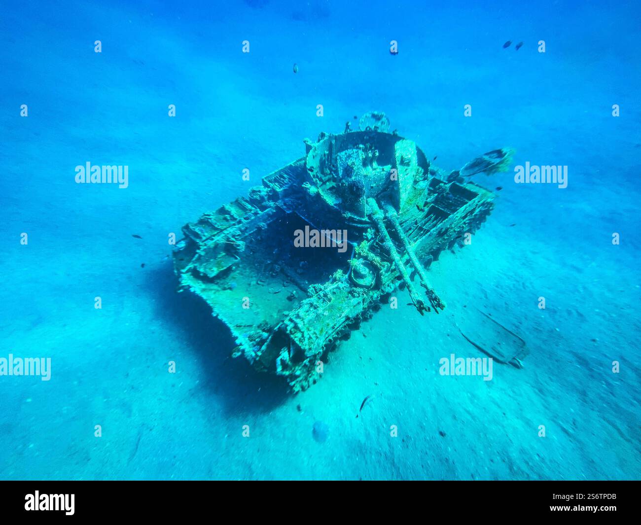 Middle East, Jordan, Aqaba, The Tank dive site Stock Photo - Alamy