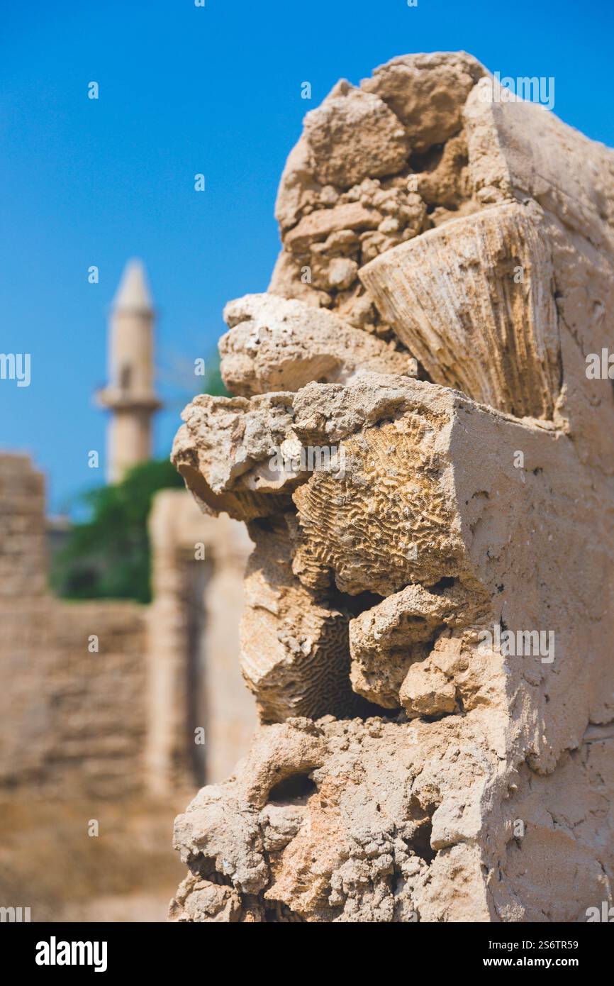 Middle East, United Arab Emirates, Emirate of Sharjah. Abandoned ...