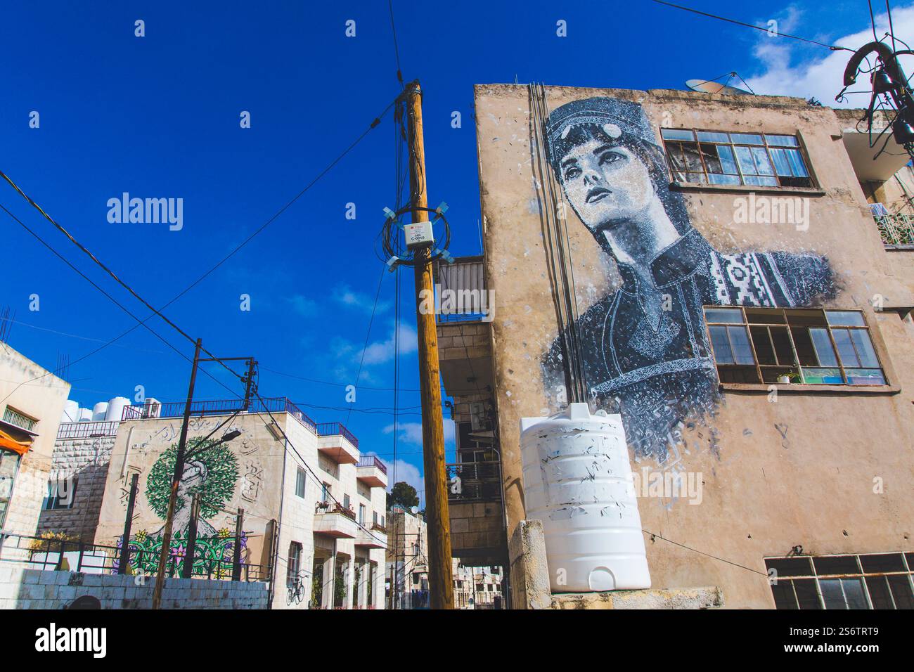 Jordan, Middle East, Amman. Street art in the city center. Lweibdeh ...