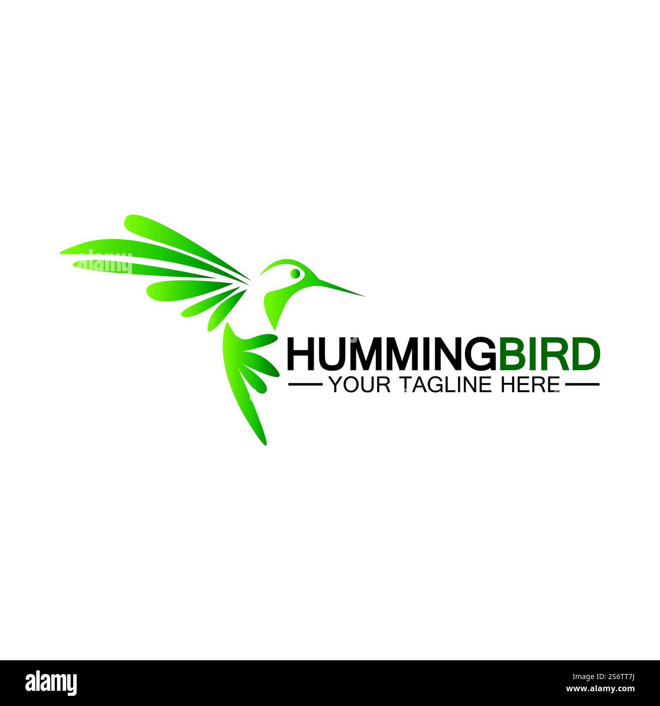 Hummingbird logo design vector template Stock Vector Image & Art - Alamy