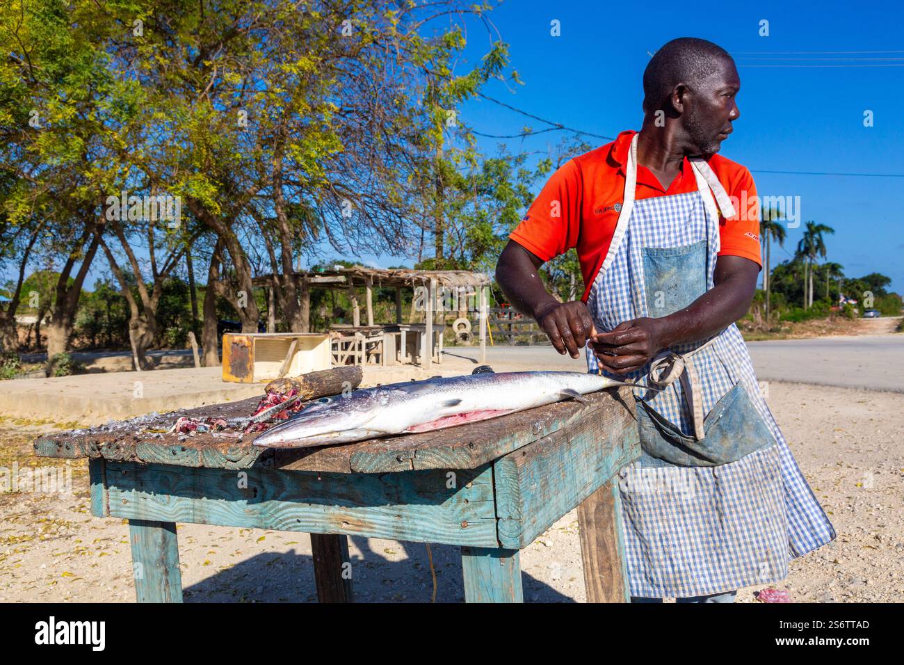 Dominican Republic, Punta Cana. Roadside fish vendor Stock Photo - Alamy