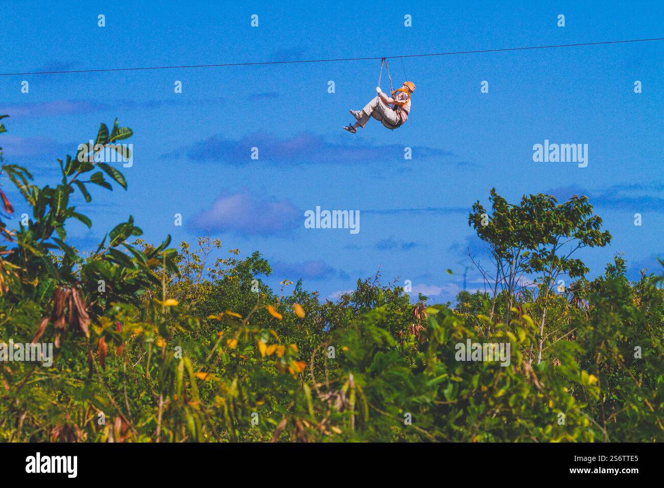 Dominican Republic, Punta Cana, model on a zip line at the entrance to ...