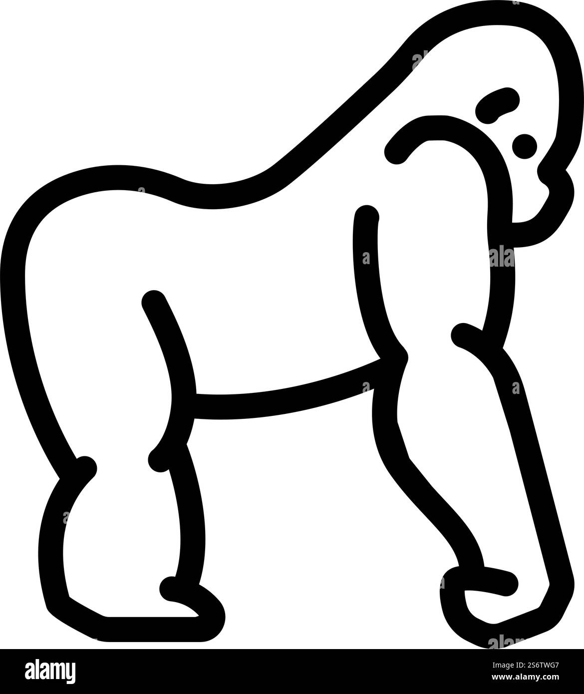 gorilla animal line icon vector. gorilla animal sign. isolated contour ...