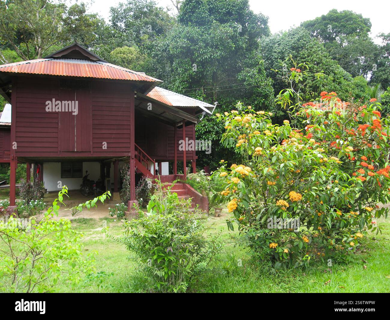 A typical traditional Malay wooden house on stilts in the village of ...