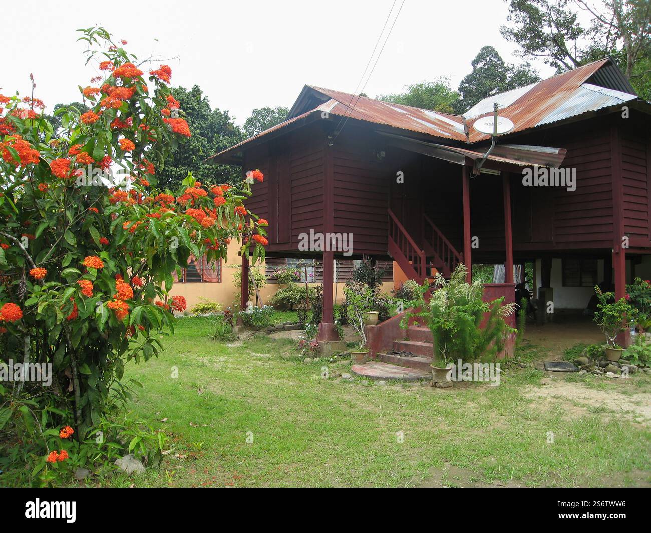 A typical traditional Malay wooden house on stilts in the village of ...