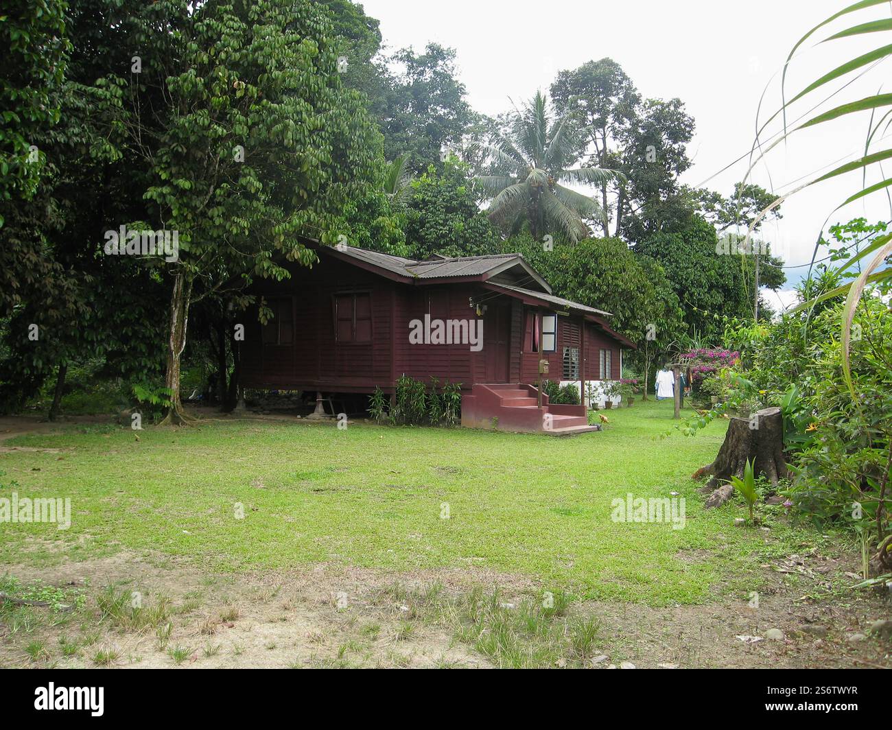 A typical traditional Malay wooden house on stilts in the village of ...