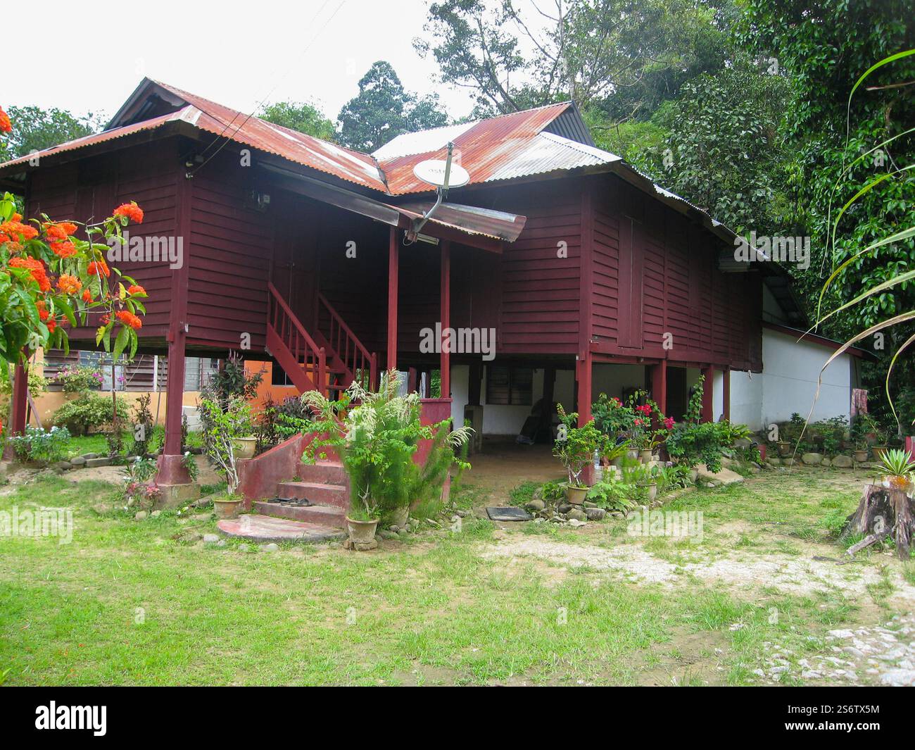 A typical traditional Malay wooden house on stilts in the village of ...