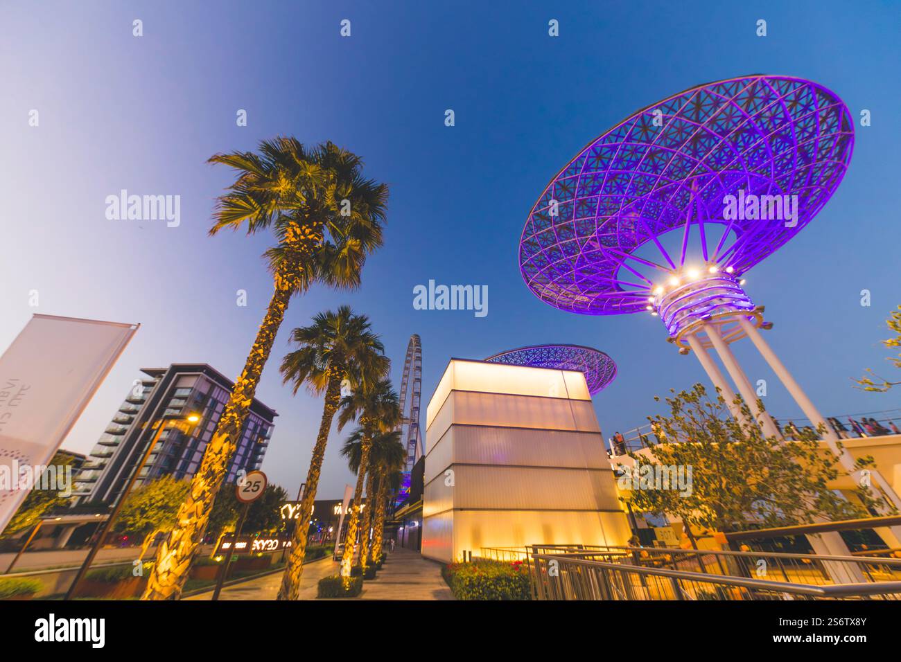 Middle East, United Arab Emirates, Dubai. Dubai Marina. Bluewaters ...