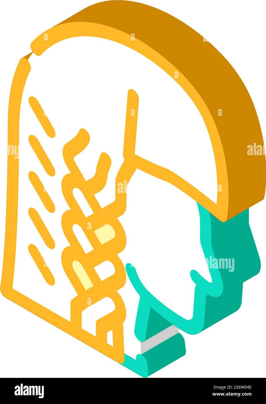 braiding hair isometric icon vector. braiding hair sign. isolated ...