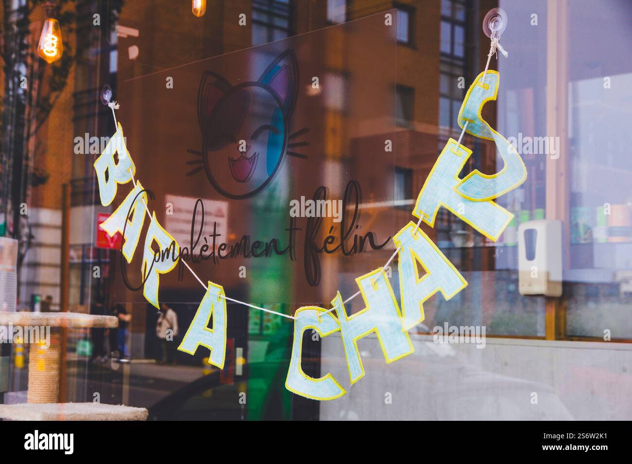 Cat bar window display Stock Photo - Alamy