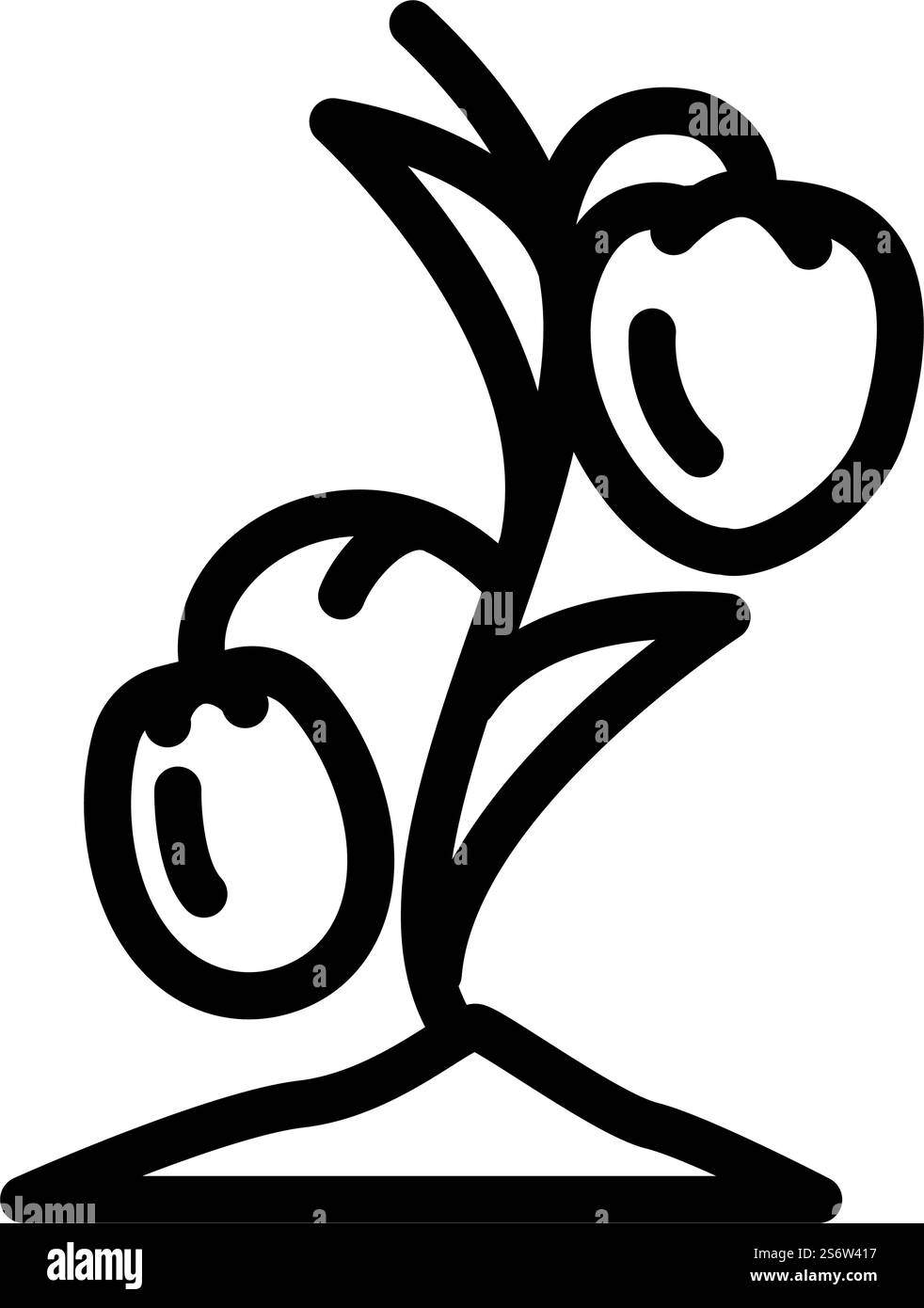 seedling tomato line icon vector. seedling tomato sign. isolated ...