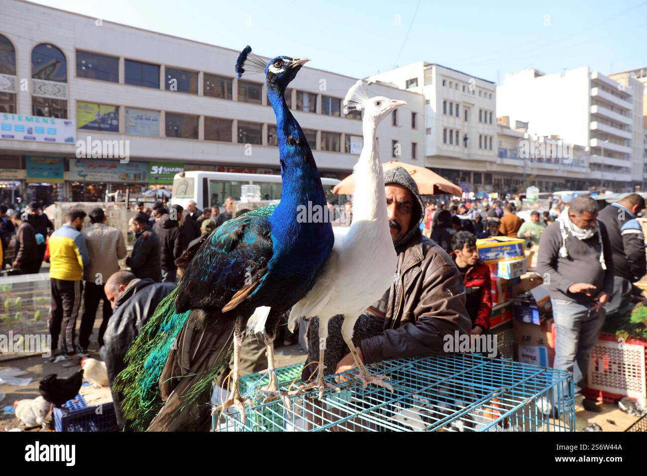Beijing, Iraq. 17th Jan, 2025. This photo shows a view of the al-Ghazil ...