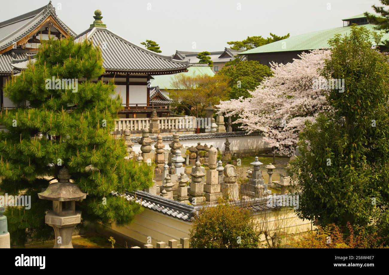 Japan, Shikoku, Zentsuji Temple, buddhist Stock Photo - Alamy