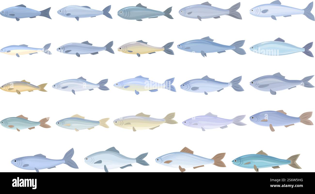 Herring icons set cartoon vector. Cod fish. Water trout. Herring icons ...