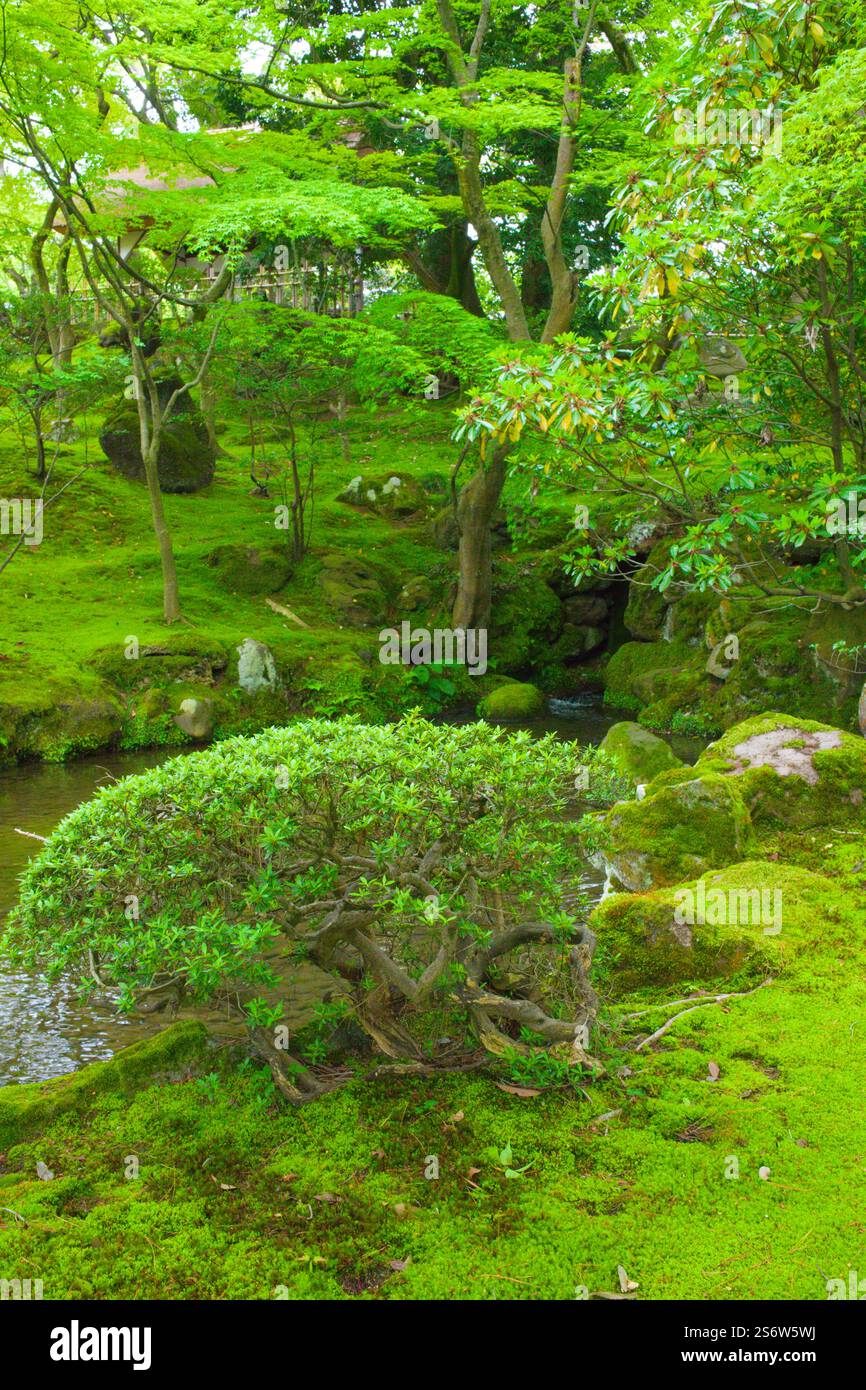 Japan, Kanazawa, Kenrokuen Garden Stock Photo - Alamy