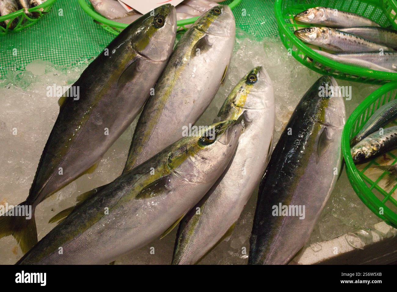 Japan, Kanazawa, Omi-cho Market, fish Stock Photo - Alamy