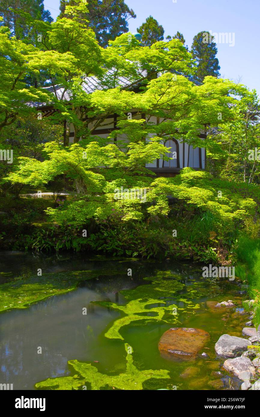 Jishi in temple hi-res stock photography and images - Alamy