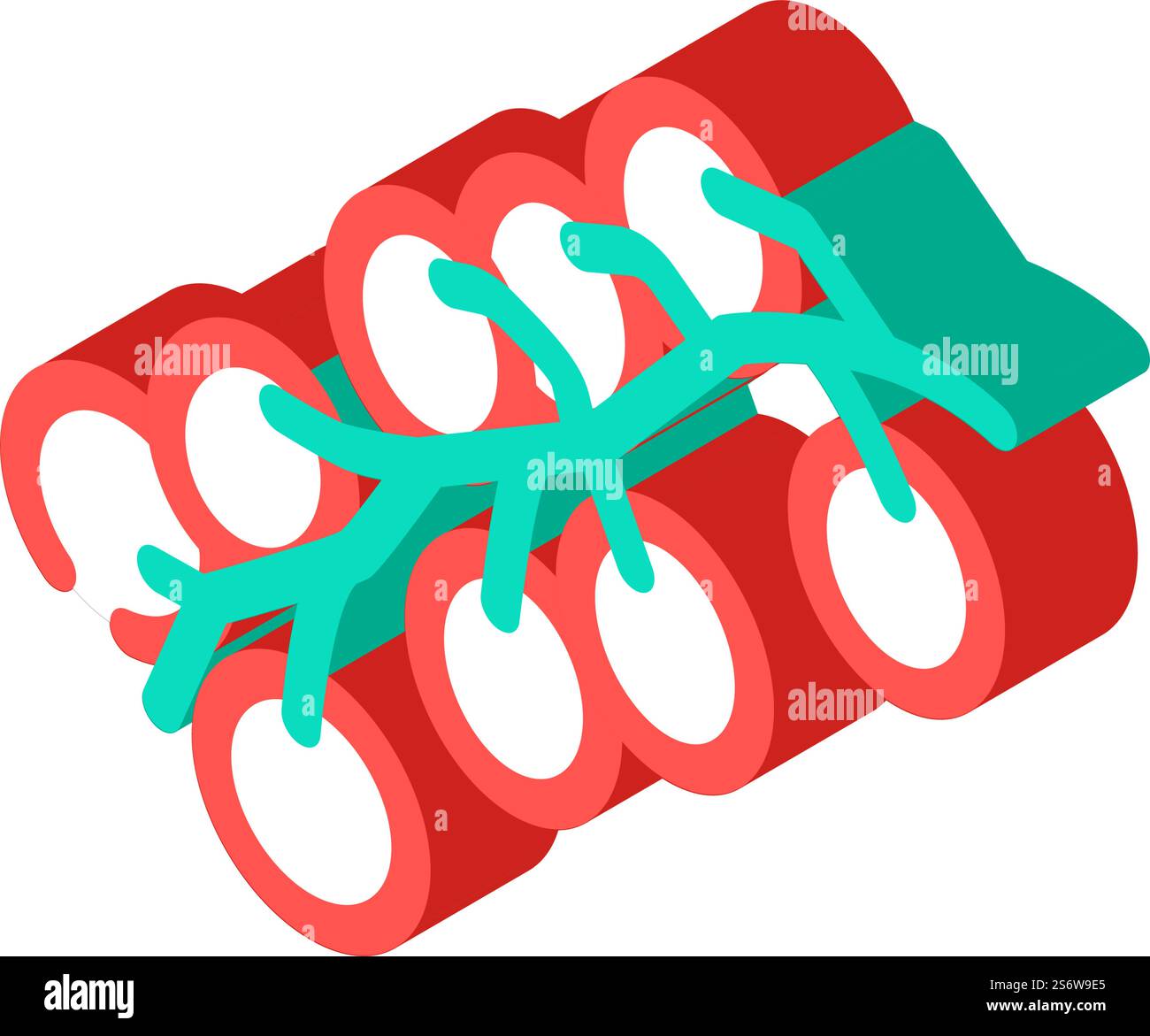 cherry tomato isometric icon vector. cherry tomato sign. isolated ...