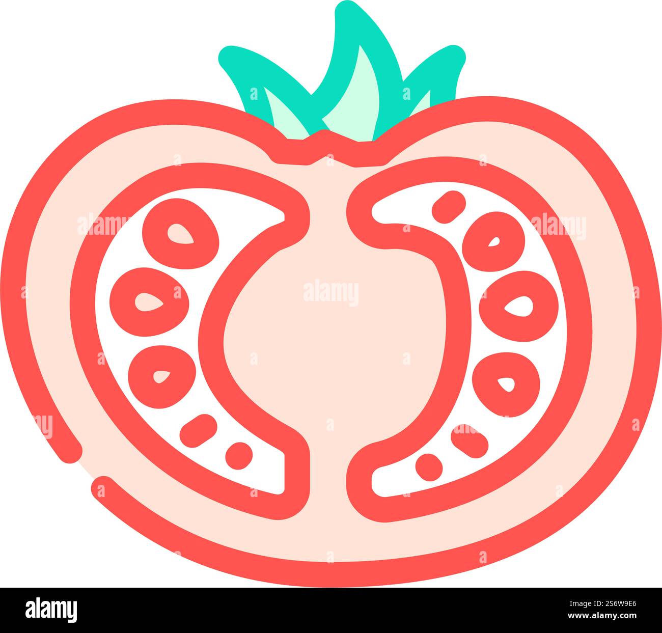 half tomato color icon vector. half tomato sign. isolated symbol ...