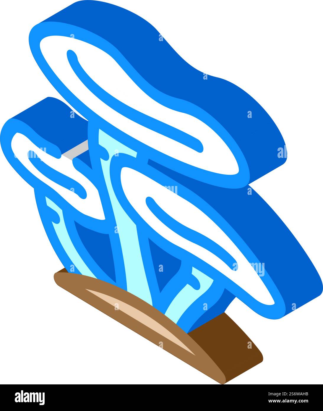 fungus mushroom isometric icon vector. fungus mushroom sign. isolated ...