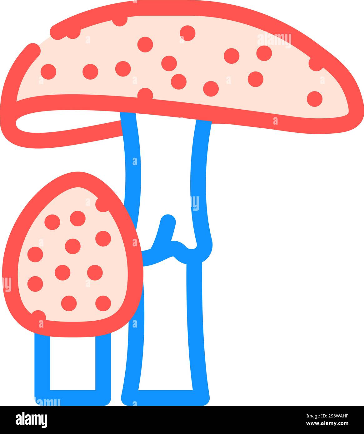 amanita mushroom color icon vector. amanita mushroom sign. isolated ...