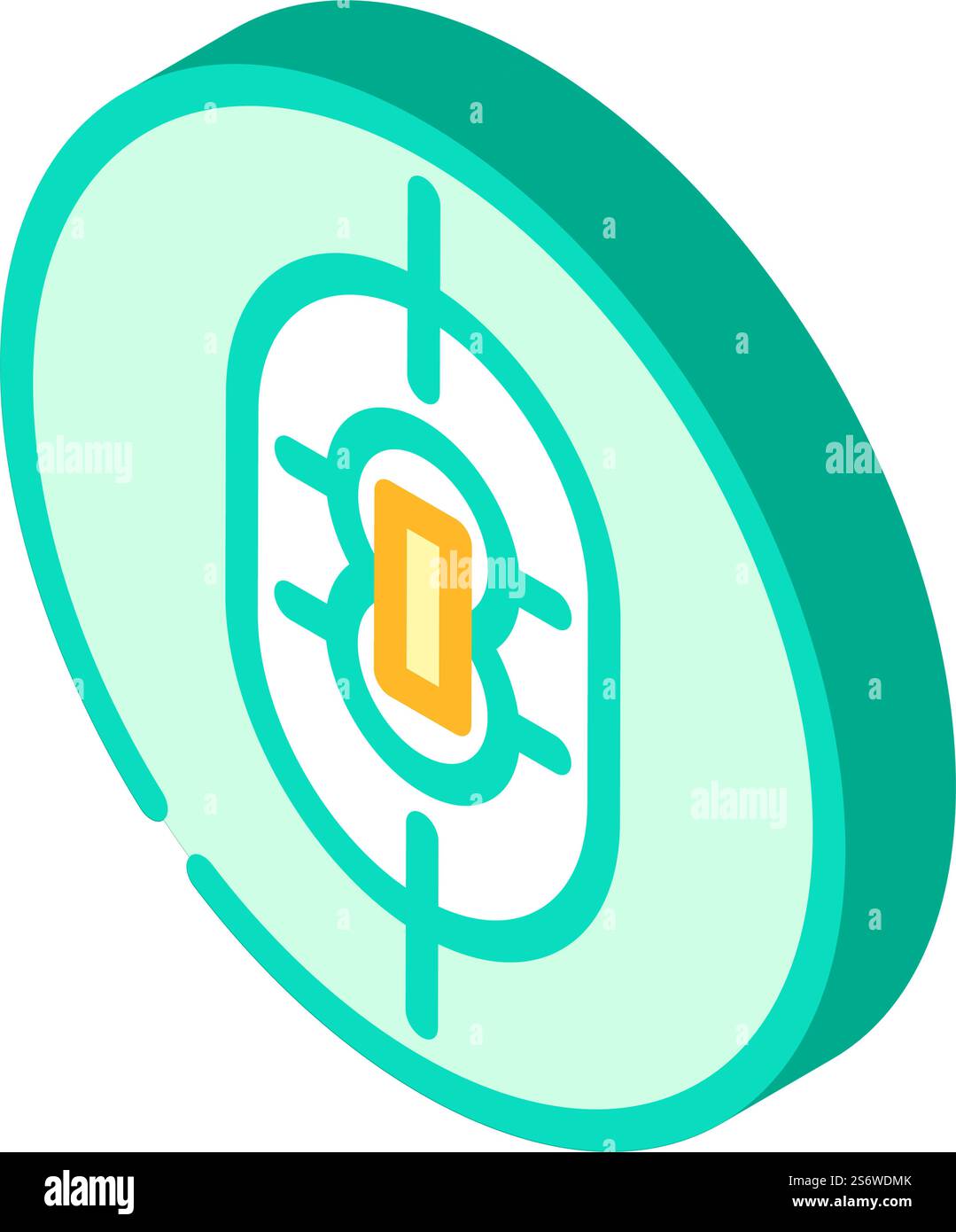 cricket field isometric icon vector. cricket field sign. isolated ...