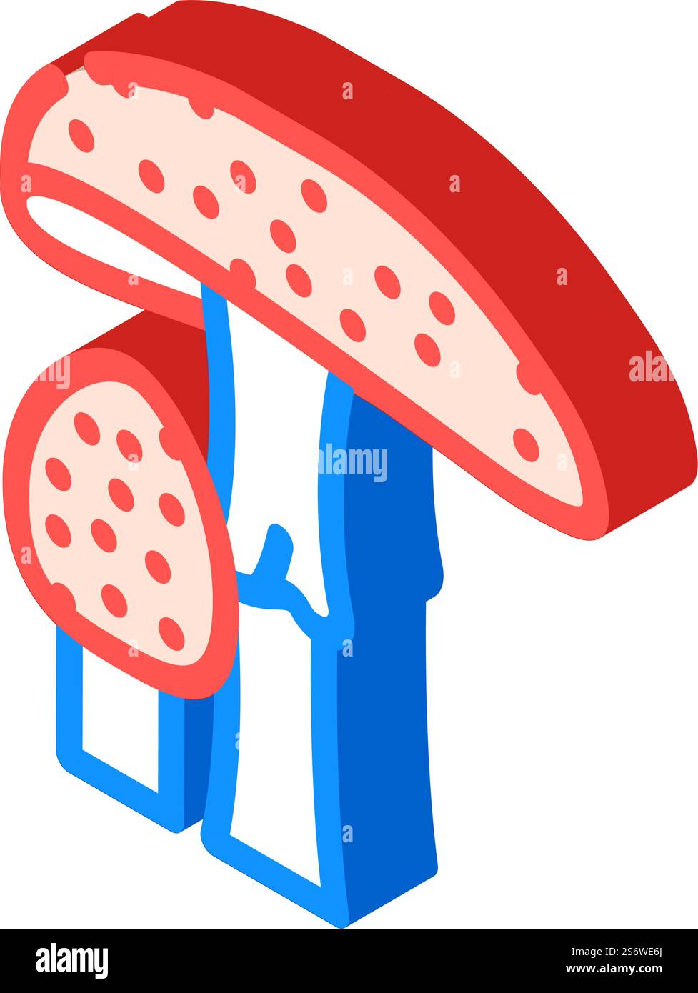 amanita mushroom isometric icon vector. amanita mushroom sign. isolated ...