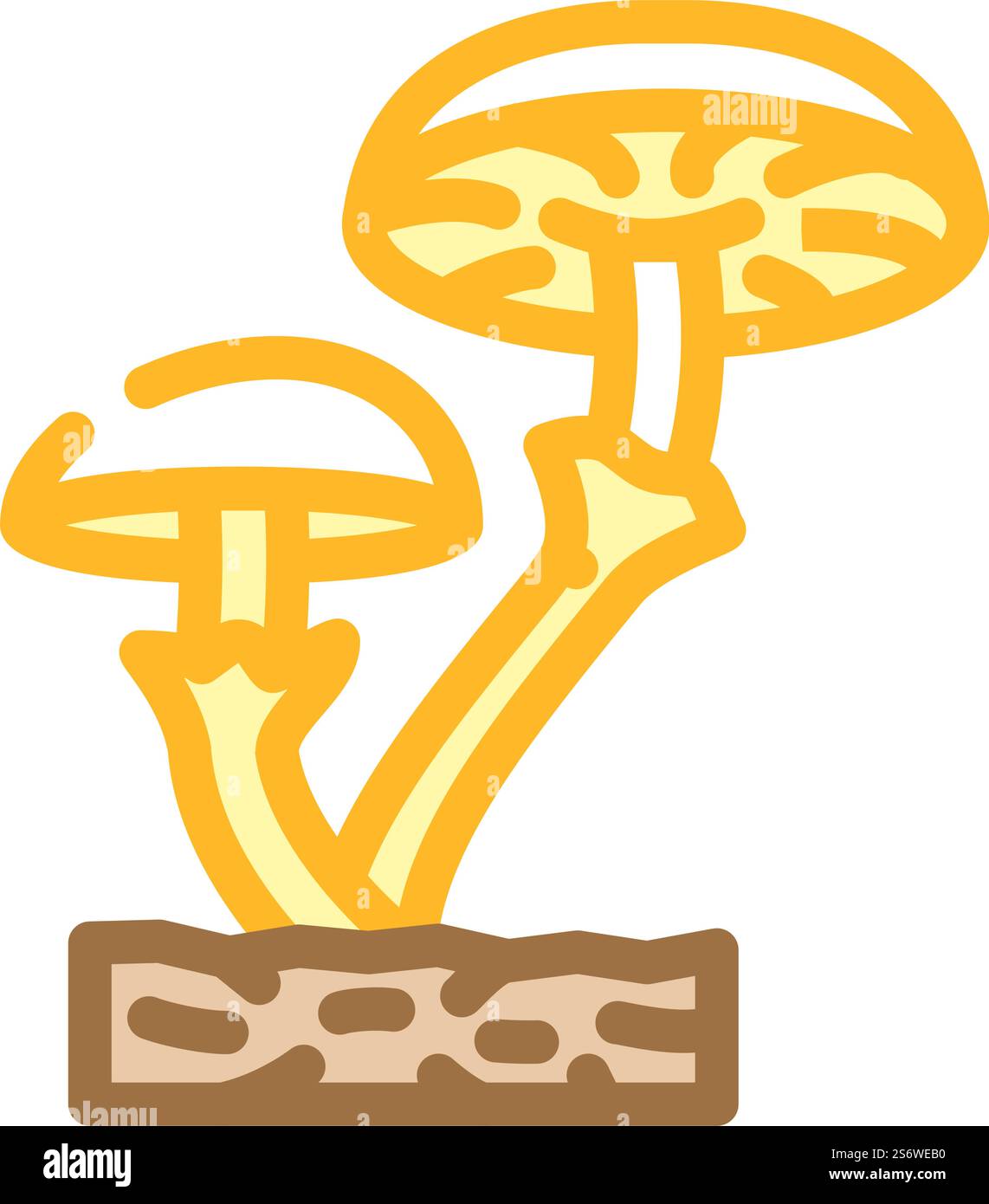fungi mushroom color icon vector. fungi mushroom sign. isolated symbol ...