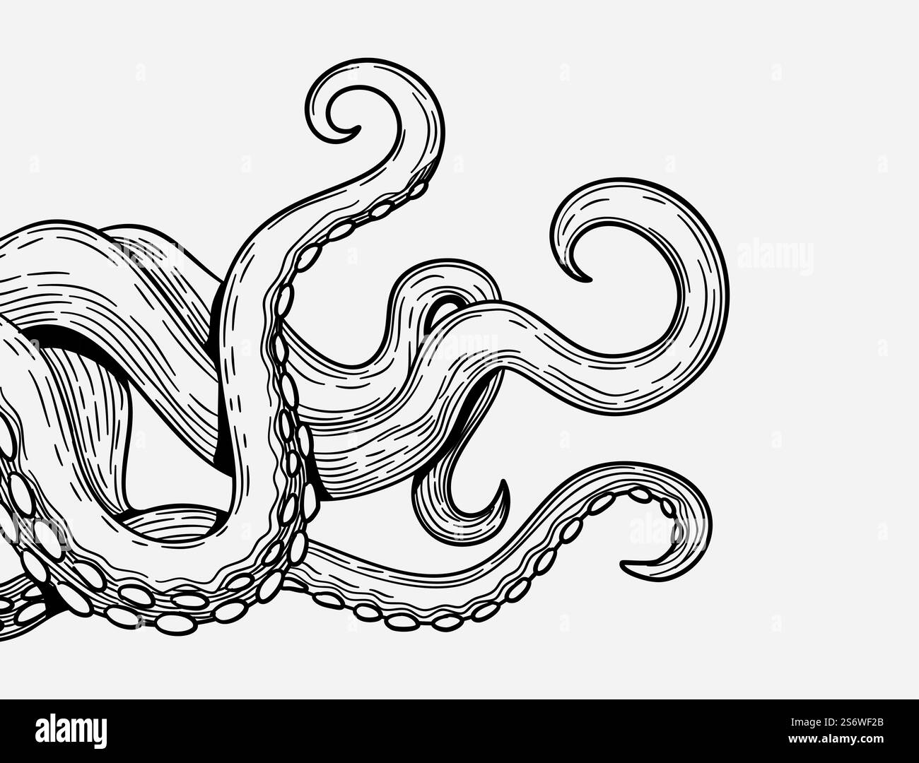 Tentacles banner. Octopus tentacle sketch element. Decorative engraving ...