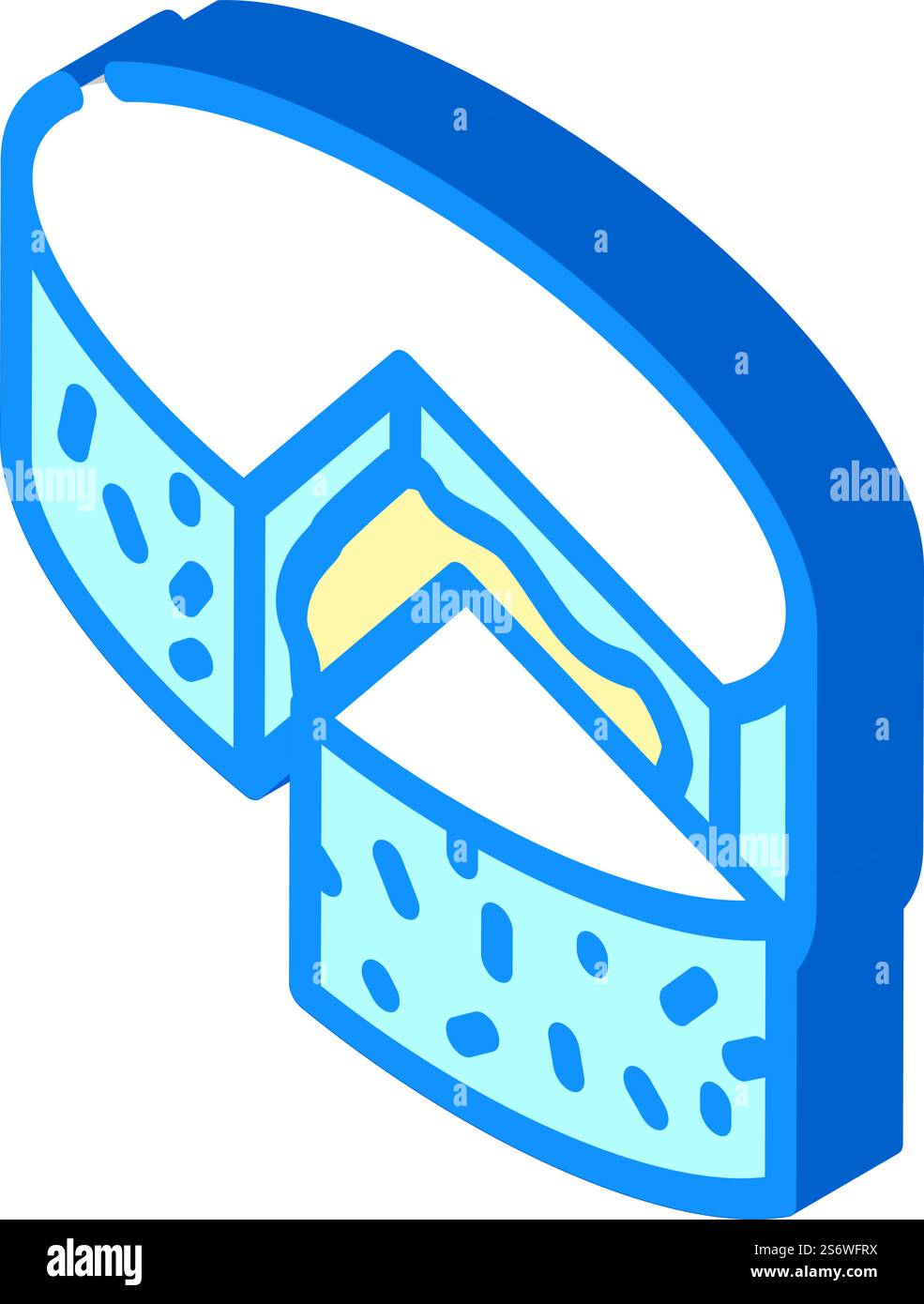 camembert cheese isometric icon vector. camembert cheese sign. isolated ...