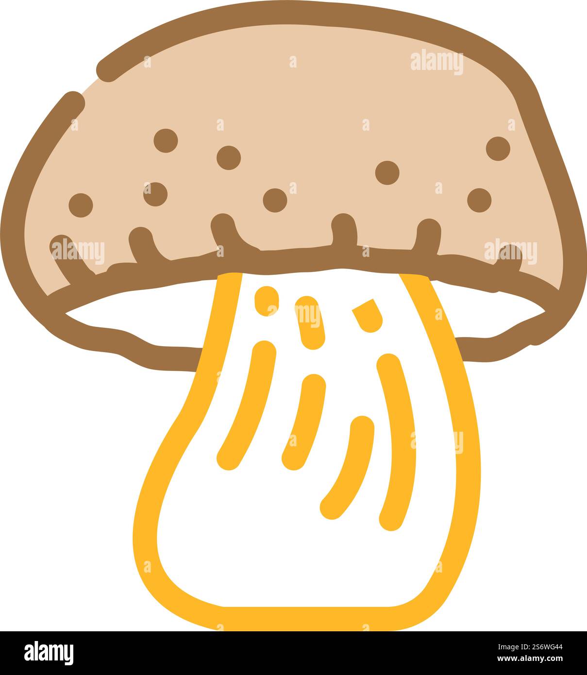 cep mushroom color icon vector. cep mushroom sign. isolated symbol ...