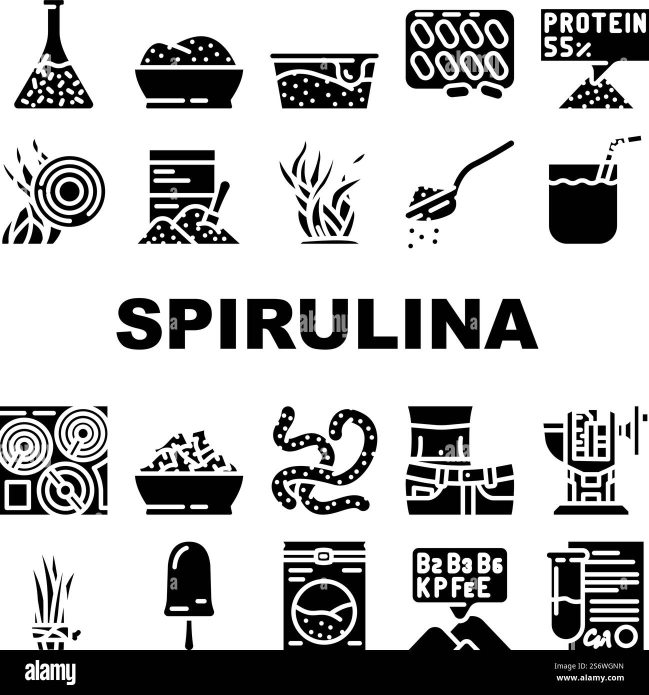 Spirulina Nutrition Ingredient Icons Set Vector. Spirulina Natural Ice ...