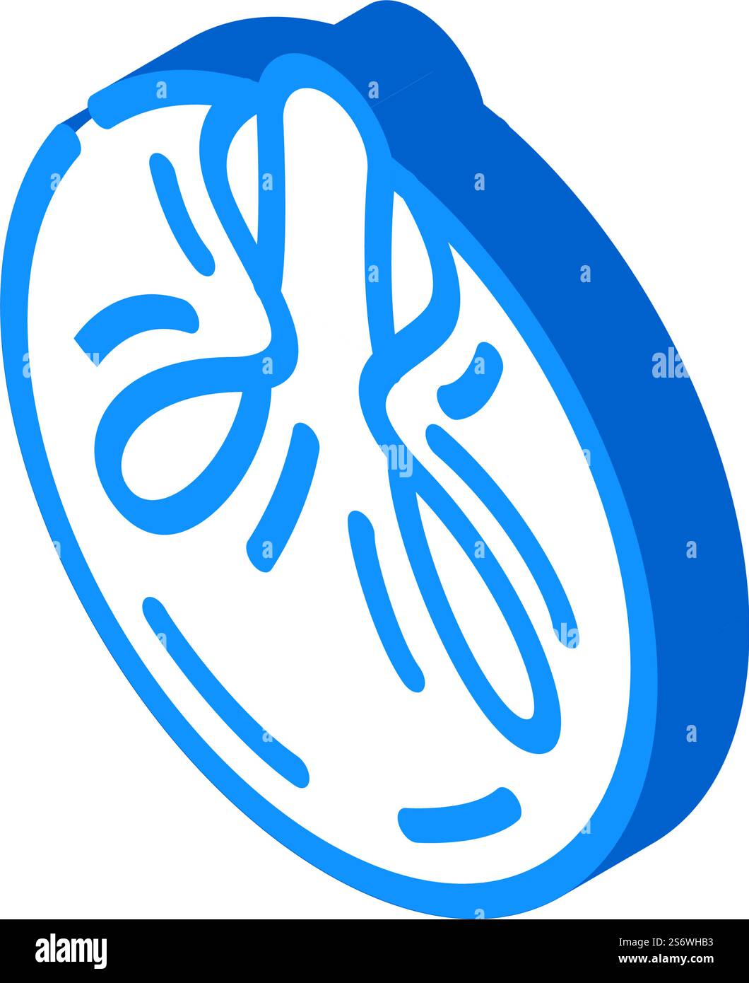 dumpling meal isometric icon vector. dumpling meal sign. isolated ...