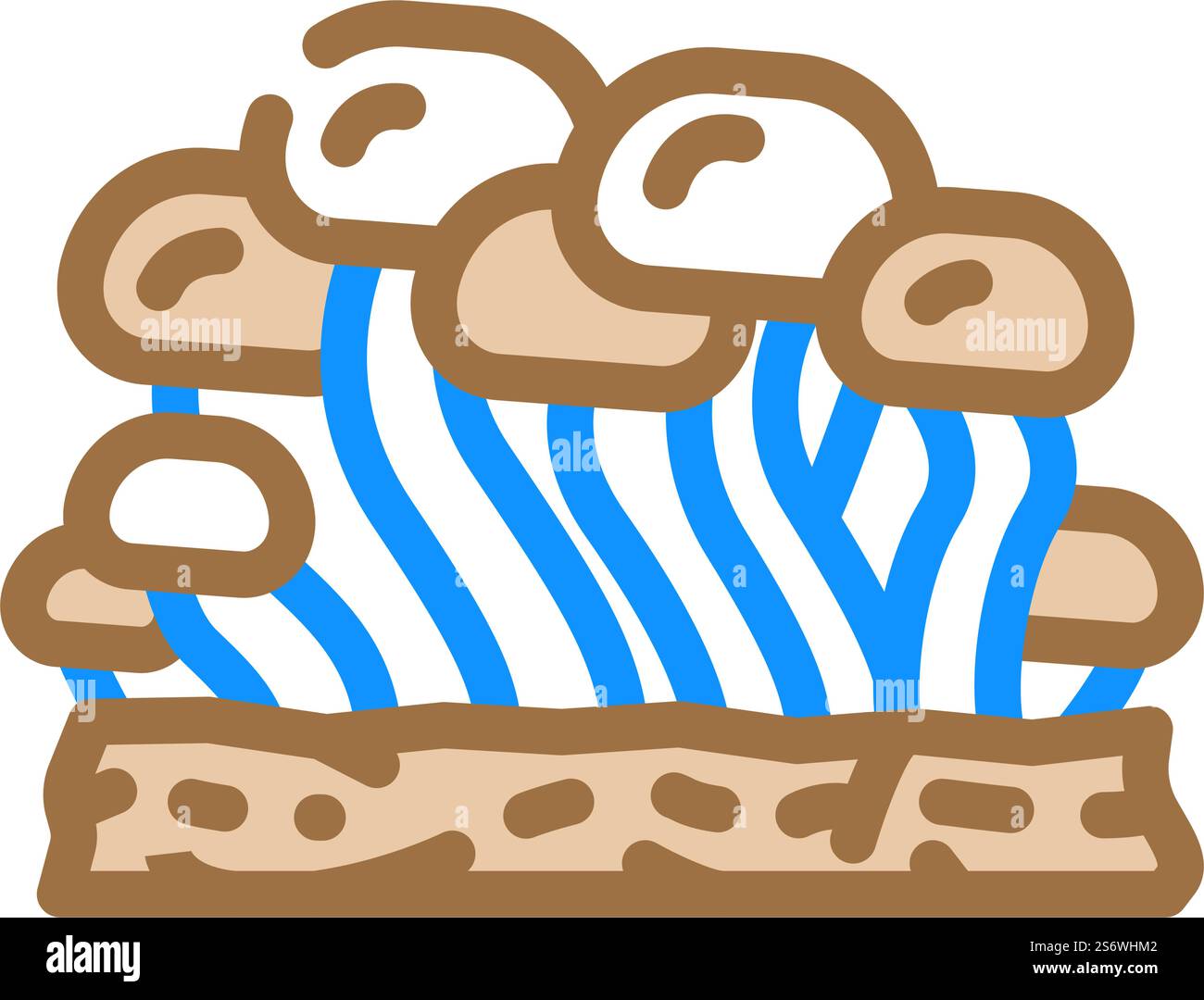 shimeji mushroom color icon vector. shimeji mushroom sign. isolated ...