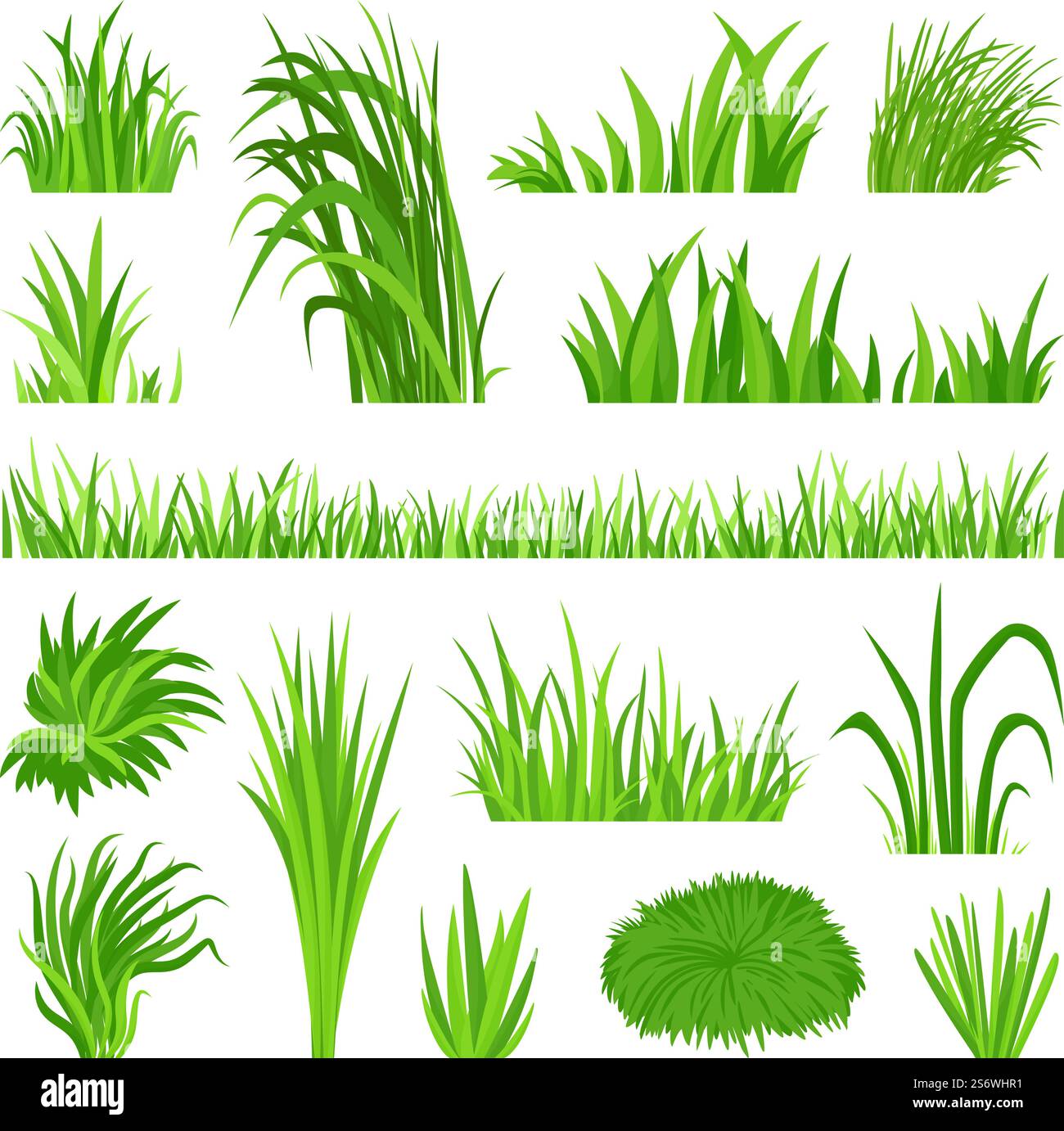 Meadow grass elements. Back yard field, organic green lawn. Weeds vegetation, decorative ...
