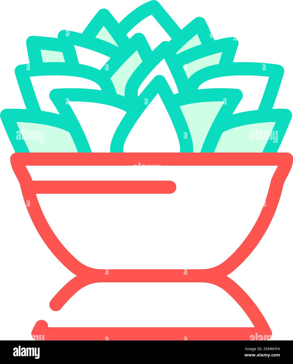 echeveria lola color icon vector. echeveria lola sign. isolated symbol ...