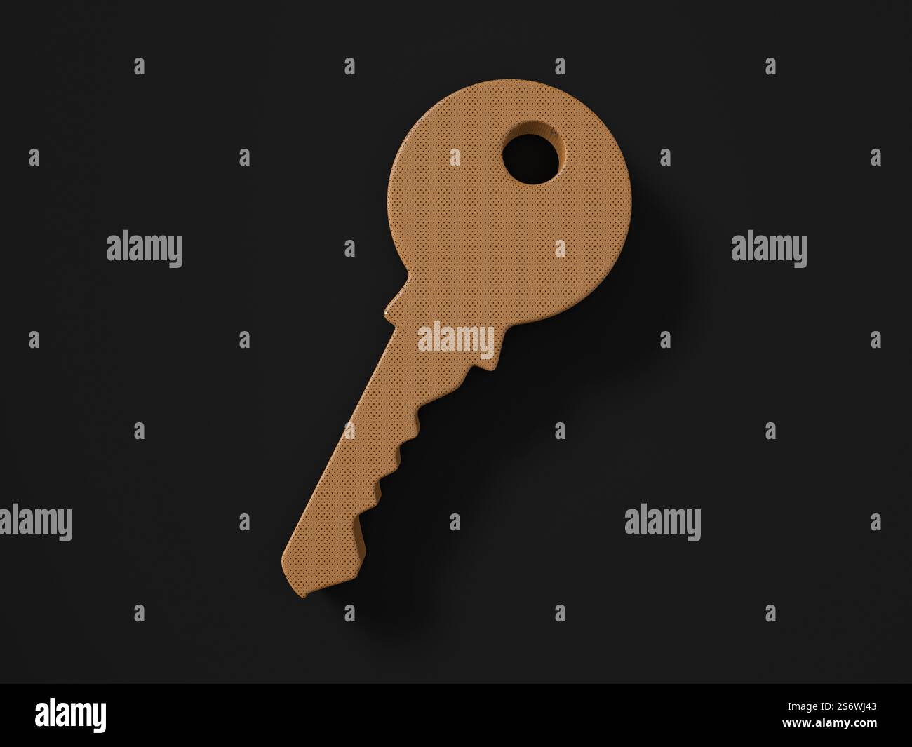 Perforated leather key symbol on black background. 3d illustration ...