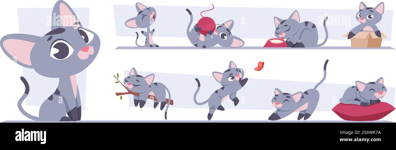 Kitten growth. Domestic cat playing in action poses animals set exact ...
