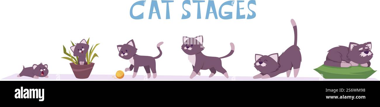 Cat growth stages. Small domestic animal playful and lying poses pets ...
