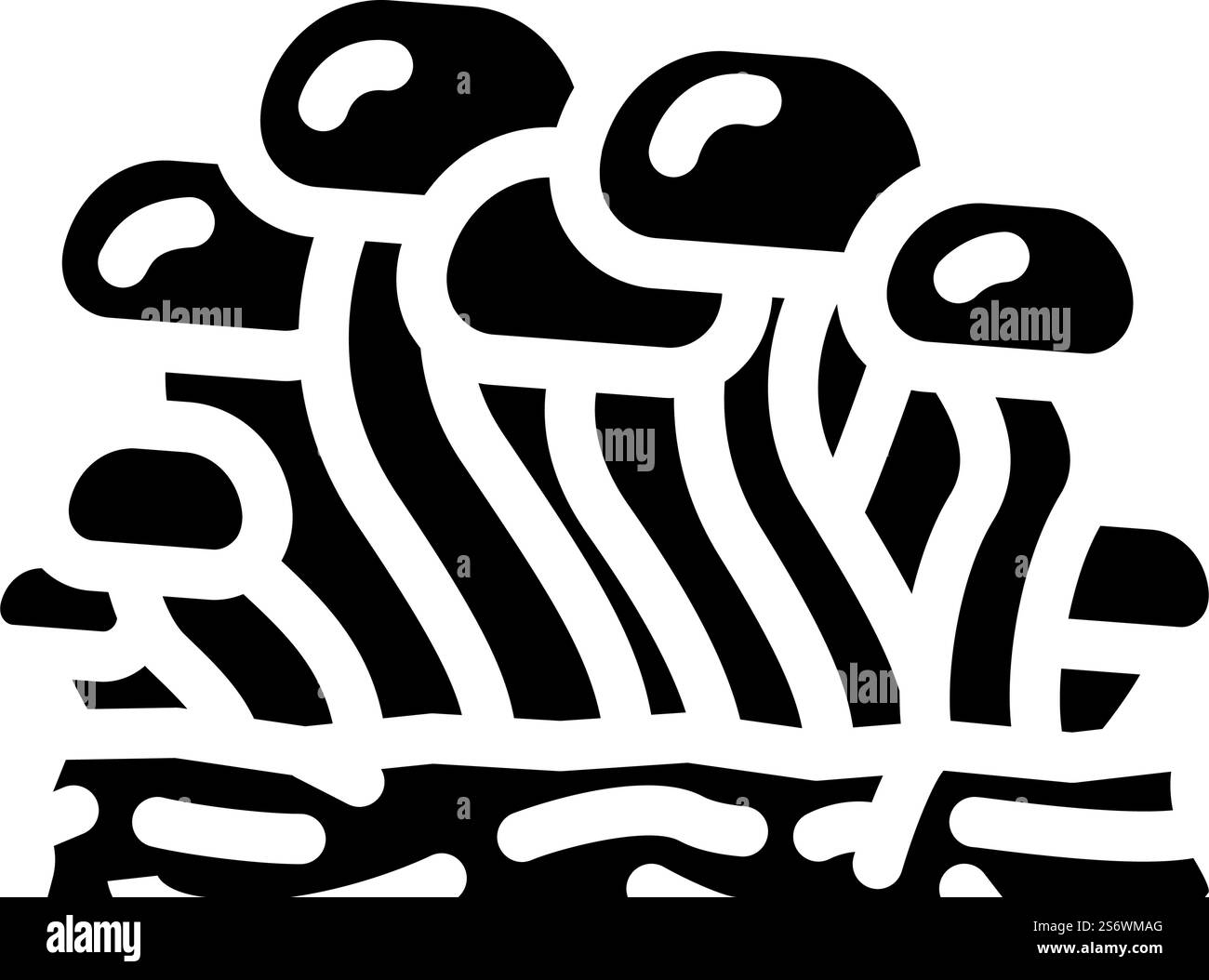 shimeji mushroom glyph icon vector. shimeji mushroom sign. isolated ...