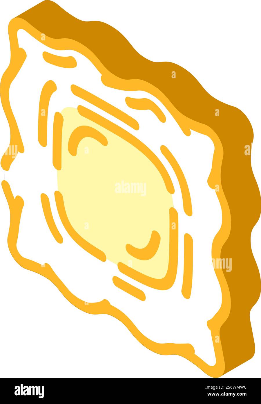 ravioli meal isometric icon vector. ravioli meal sign. isolated symbol ...