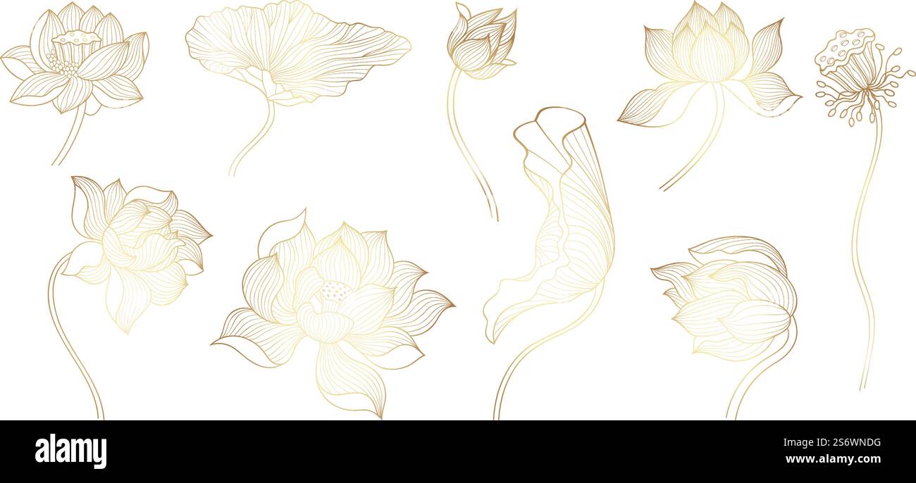 Golden line lotus. Gold sketch bloom flowers, unique flowers design ...