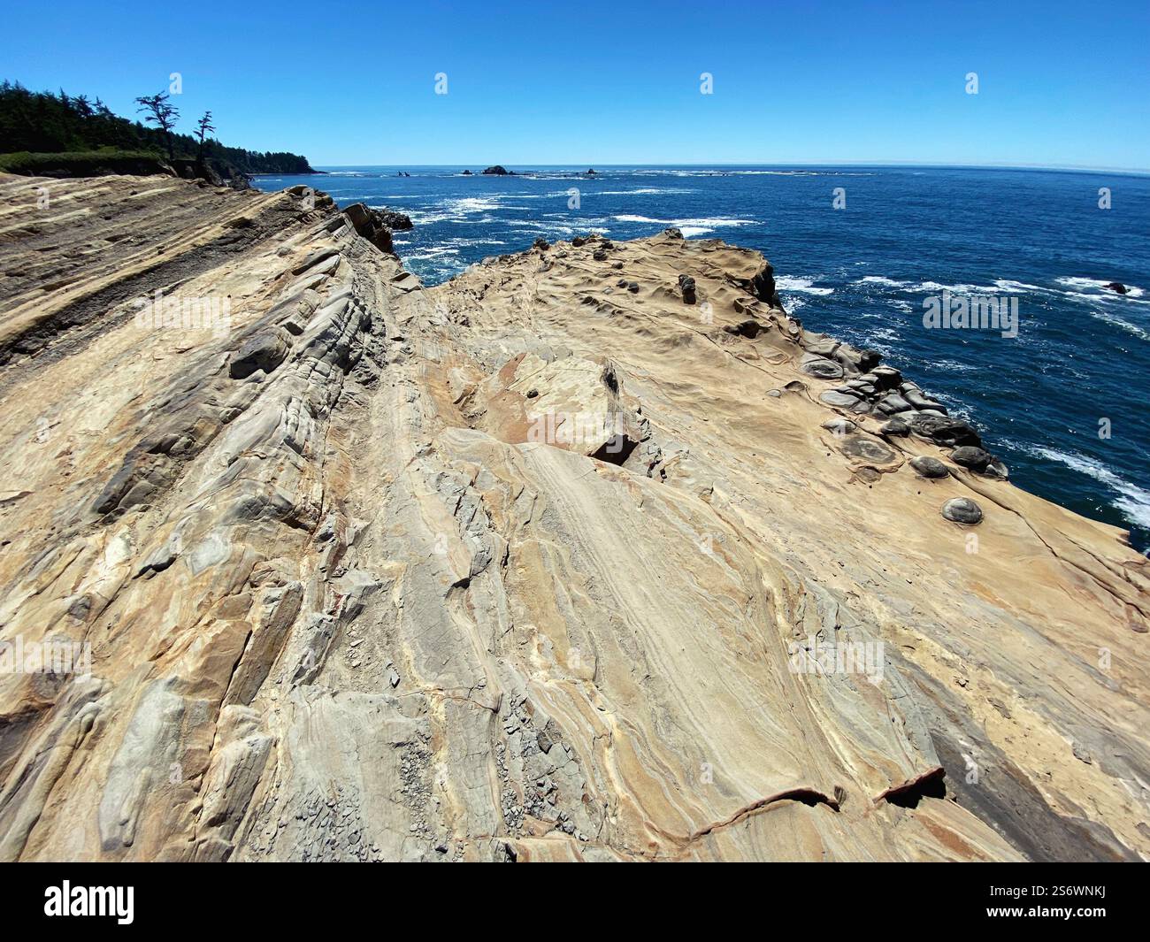Beautiful rock formations at Shore Acres State Park in Coos Bay, Oregon ...